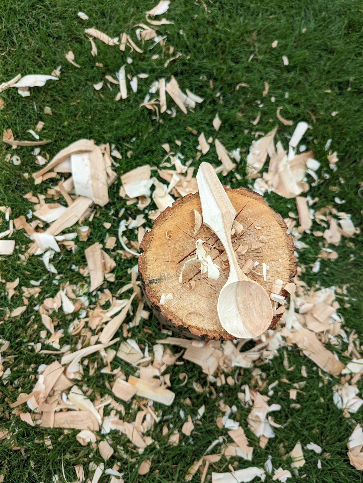 Introduction to Spoon Carving with Dan Howey, Starling Studio, Havelock ...