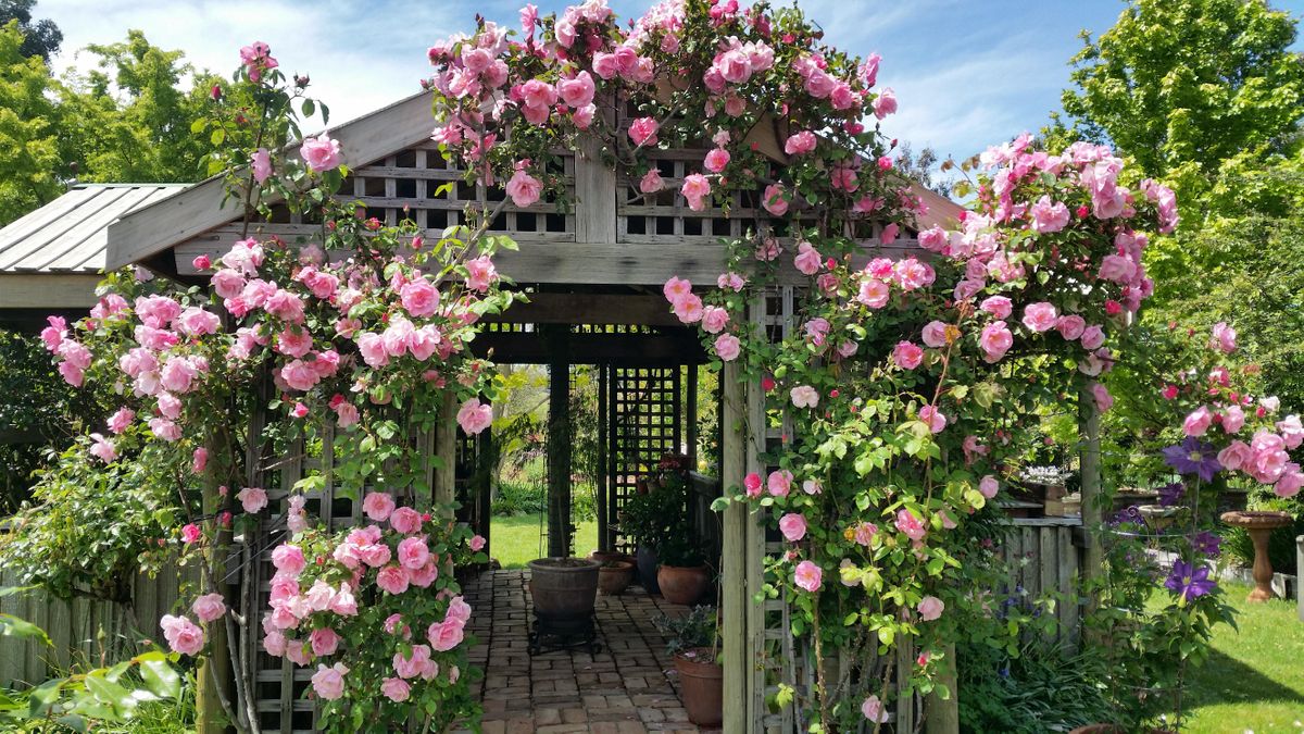 Creswick Garden Lovers Weekend, Creswick Neighbourhood Centre, 12 ...