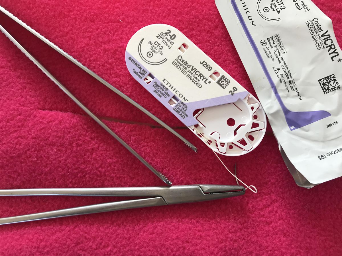 Suturing Skills for Midwives 101: Introduction to Suturing Skills ...