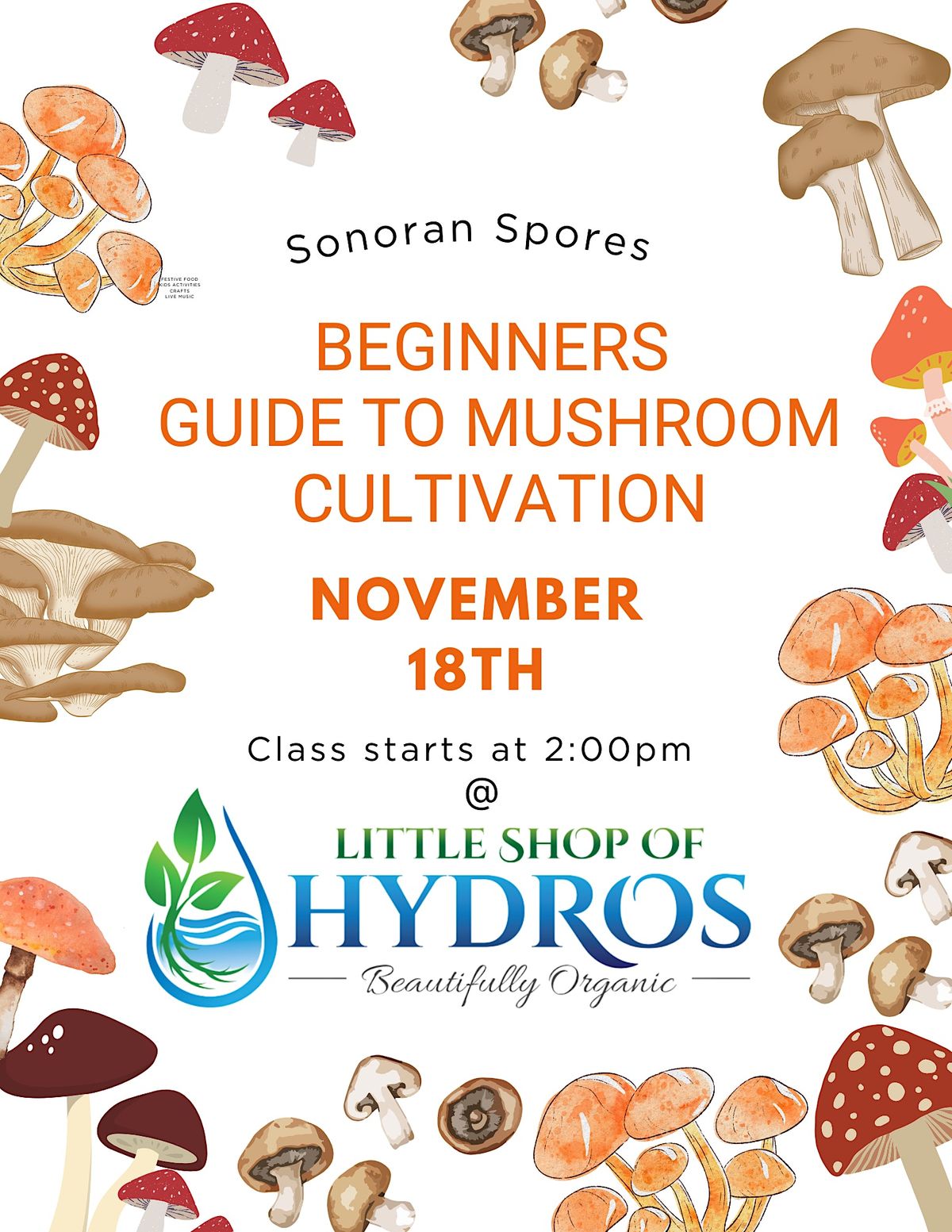 Beginners Guide To Mushroom Cultivation, Workshop With Sonoran Spores ...