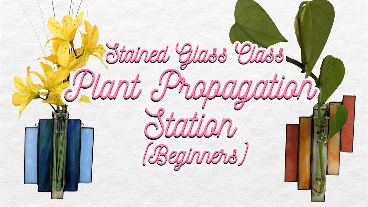 Stained Glass Class - Plant Propagation Station (Beginners) 8/13, Spark ...