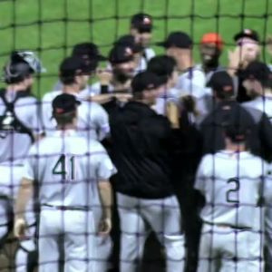 Long Island Ducks at Southern Maryland Blue Crabs at Regency Furniture ...