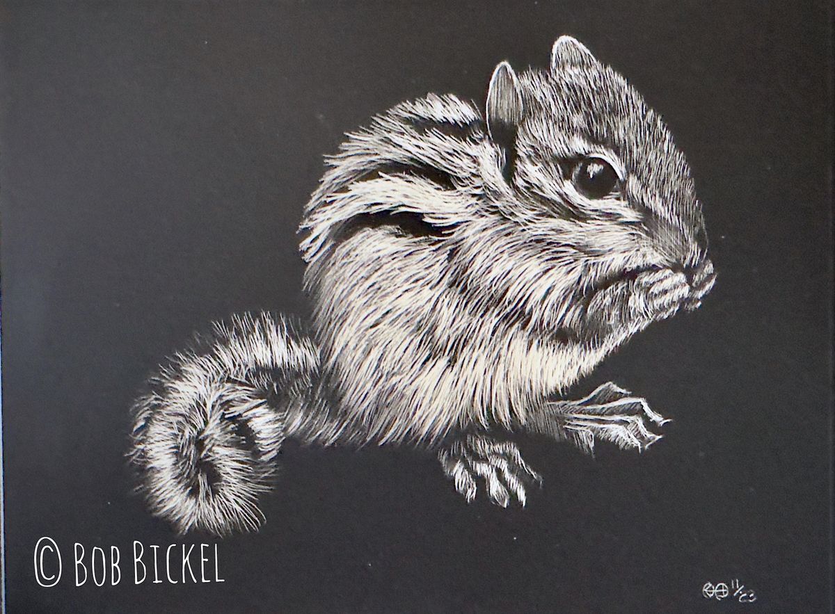 Scratchboard Chipmunk (2 session class), Wild Hare Gallery, Travelers ...
