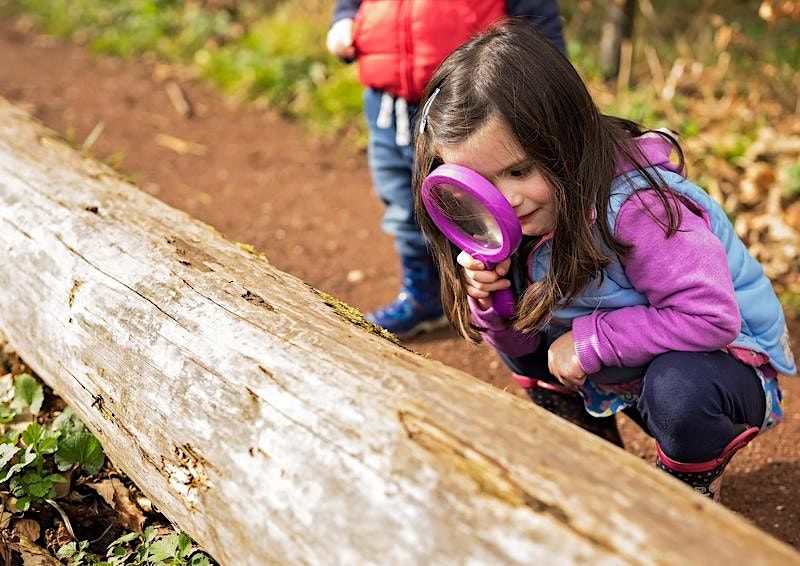 Wildlife Detectives and Owl Pellet Dissection at Summer Leys, Summer ...