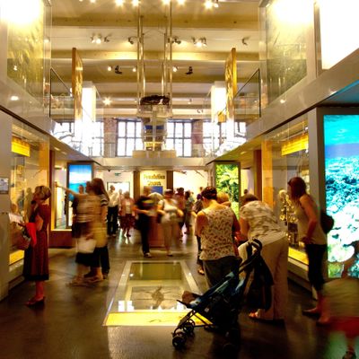 SW Museum Skills: Marking and Labelling Museum Objects, Museum of ...