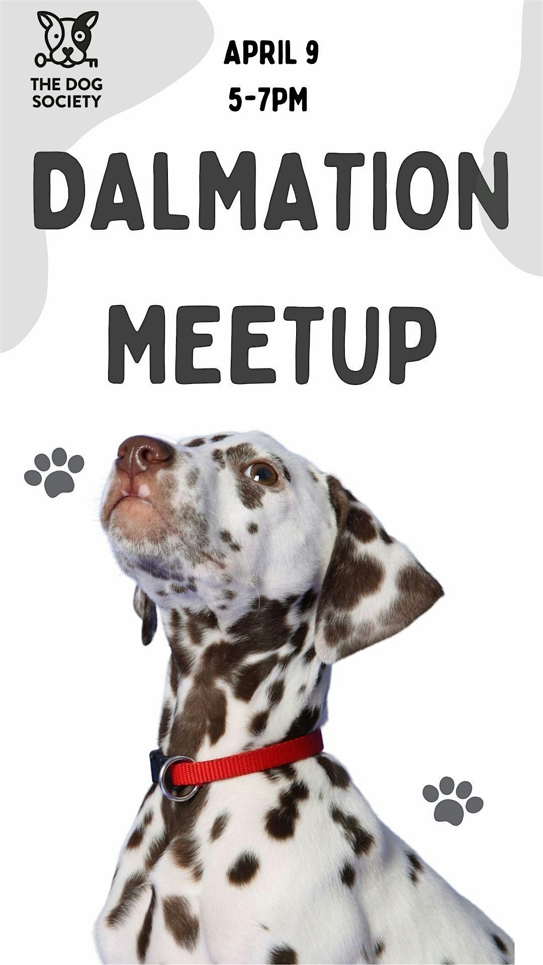 Dalmatian Meetup at the Dog Society, The Dog Society, University Avenue ...