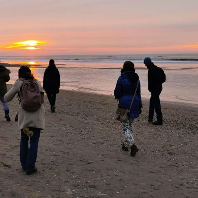 Bosbaden / Shinrin-Yoku / Forest Bathing - Kennemerduinen en Strand ...