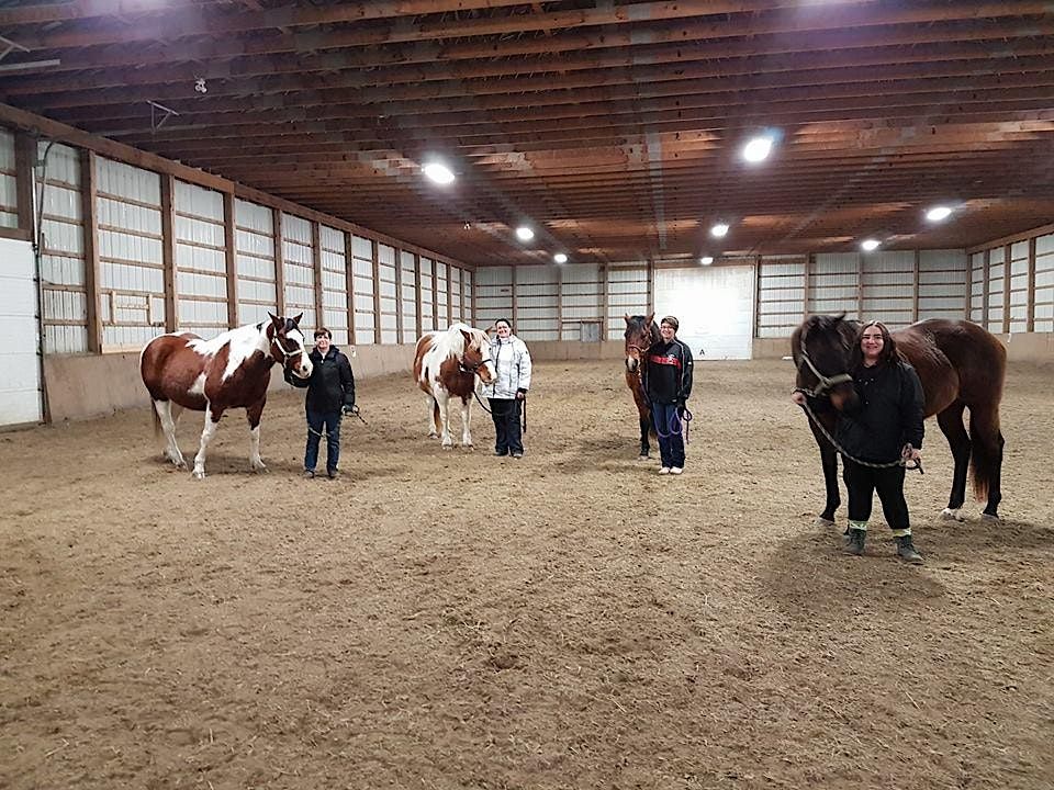 Through the Eye of the Horse - Summer Session 2023, Sagehill Stables ...