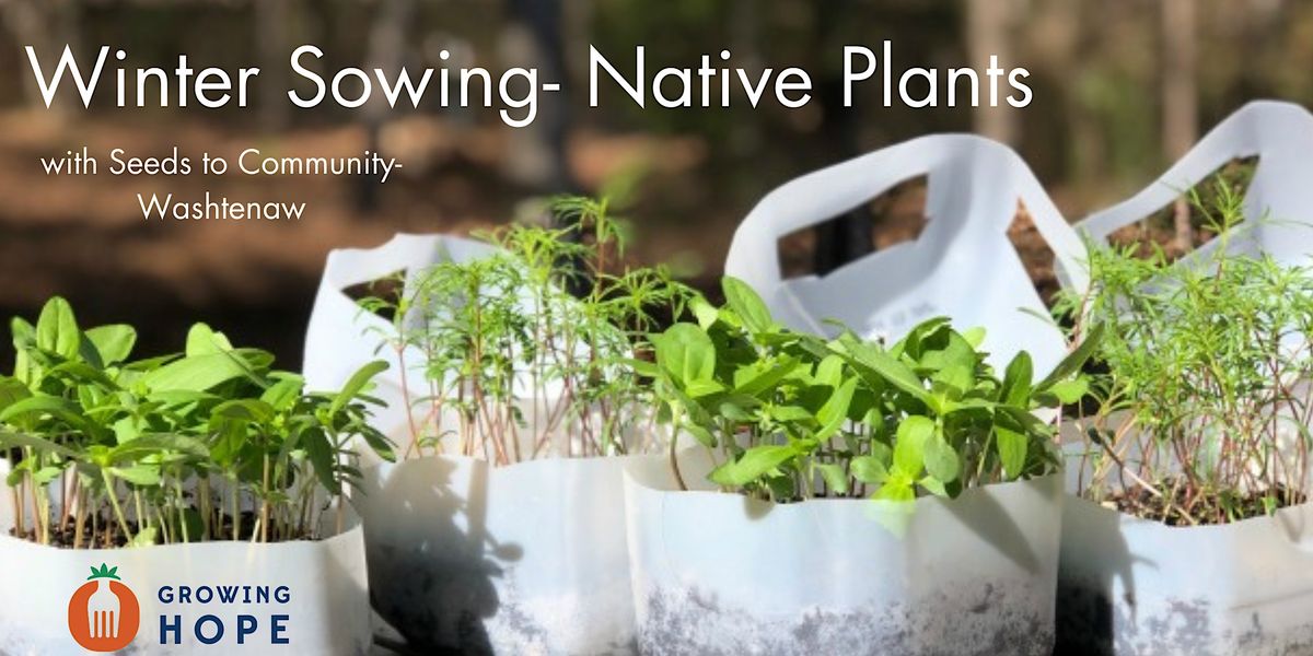 Winter Seed Sowing- Native Plants, Ypsilanti Farmers MarketPlace Hall ...