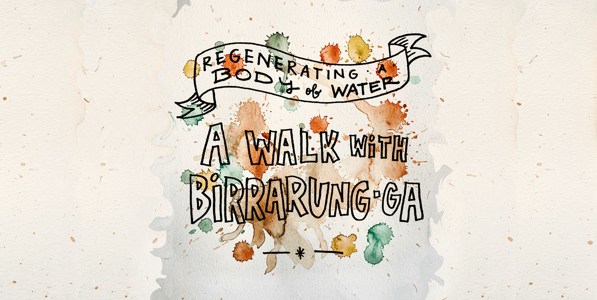Regenerating a body of water: a walk with Birrarung-ga, Enterprize Park ...