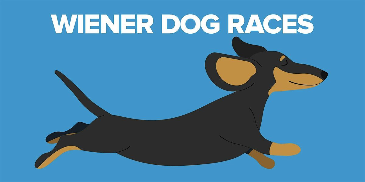 Wiener Dog Races at Ocean Downs Racetrack, Ocean Downs Casino, Berlin ...
