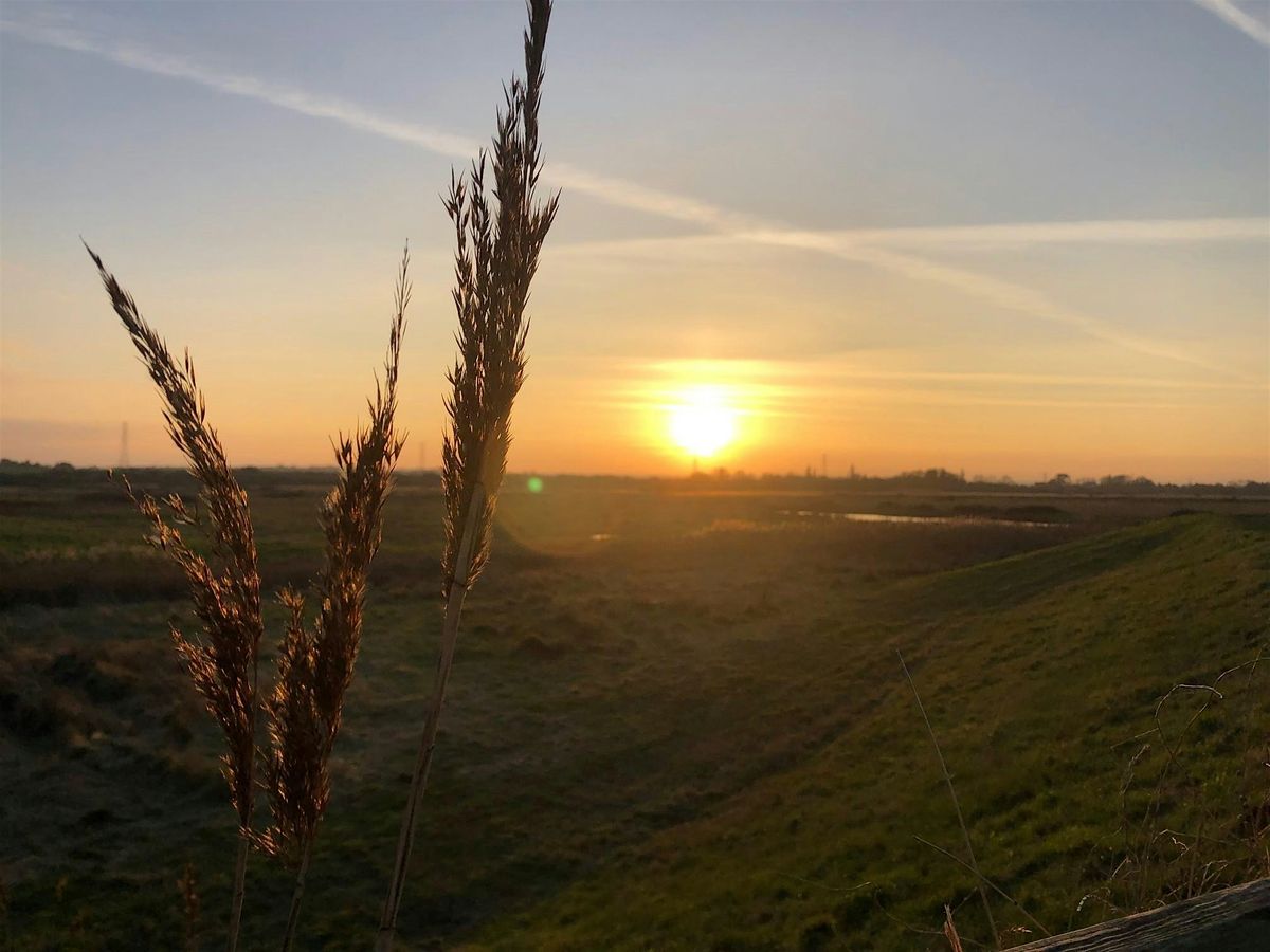 Wilder Kent Safari: History and Wildlife of Oare Marshes, Oare Marshes ...