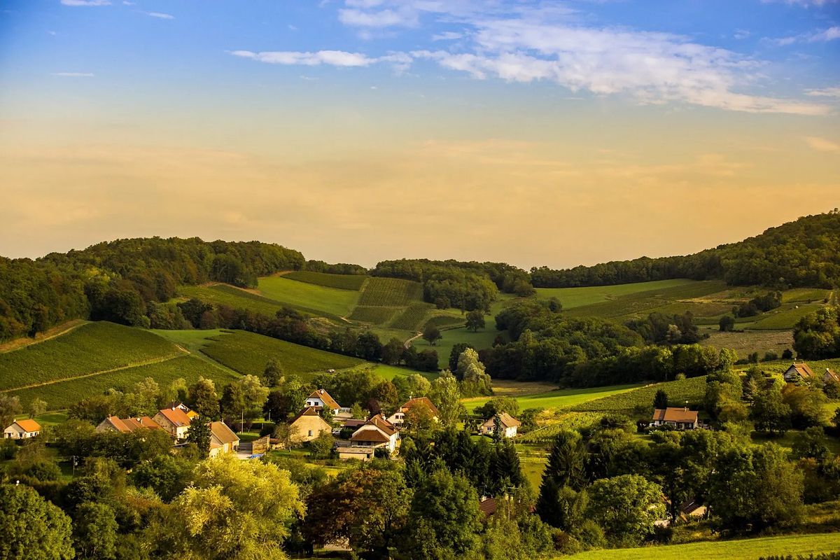 Explore the Jura, Frances Best Kept Wine Secret, Tria Cafe Wash West ...