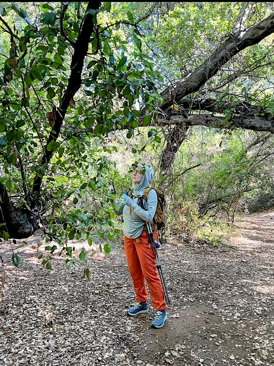 Things I wish I had known when I started hiking, Griffith Park Merry-Go ...
