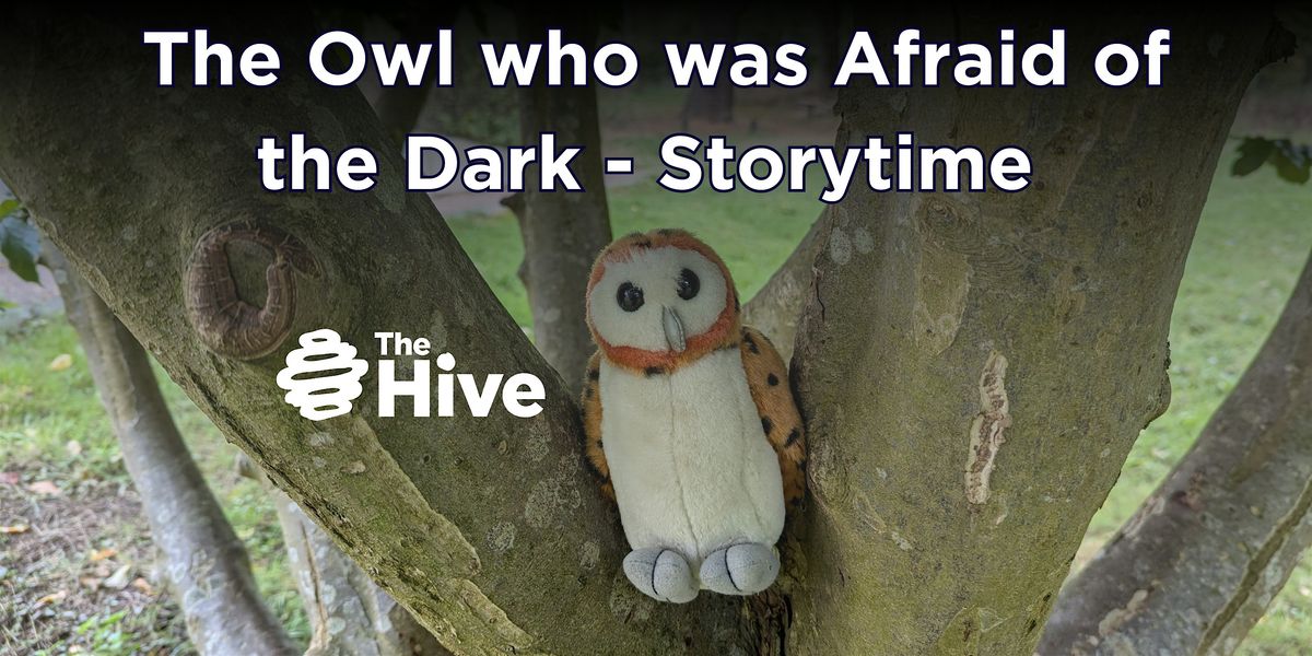 The Owl who was Afraid of the Dark Storytime, The Hive, Waltham Abbey ...
