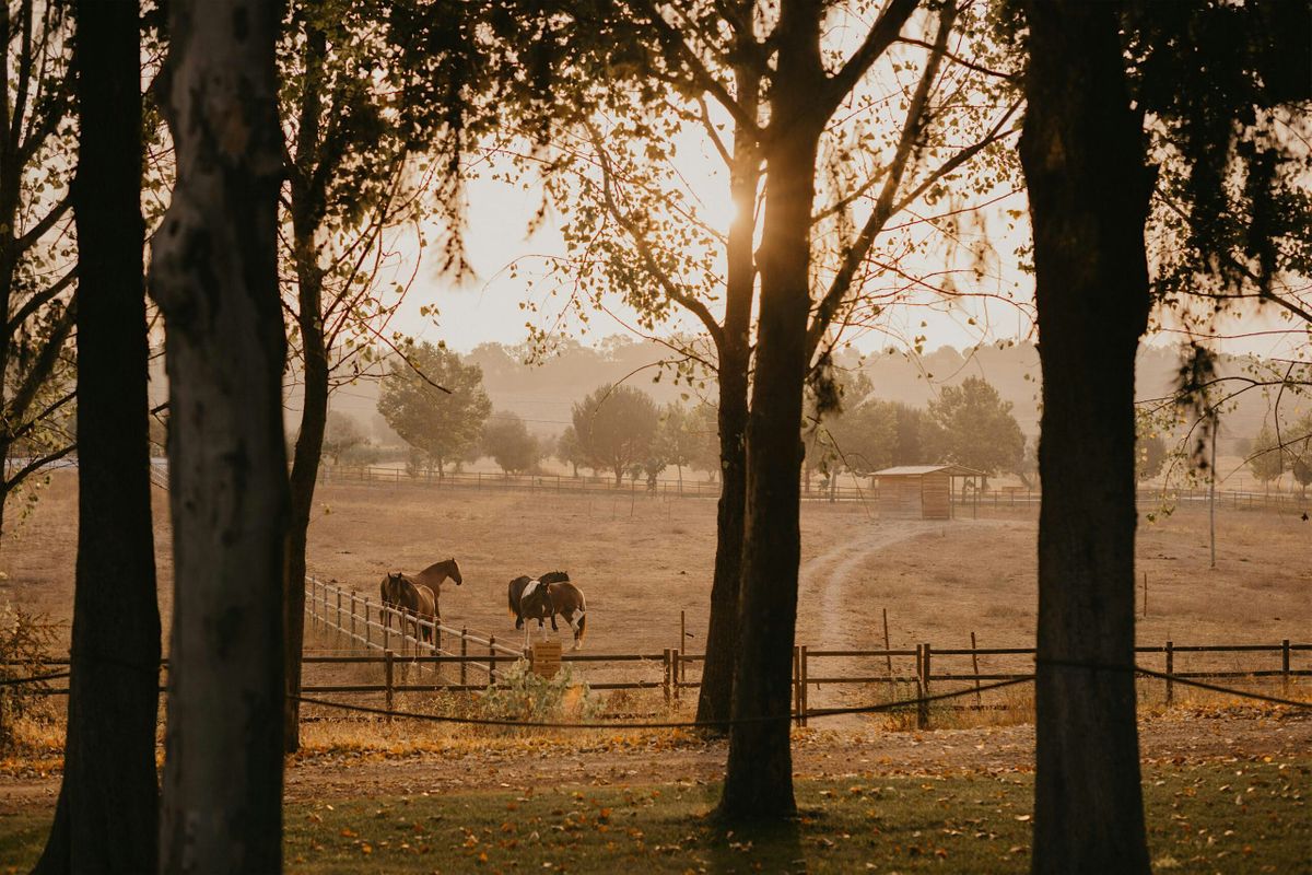 MY Retreat, Quinta Carvalhas - AFV Retreats, Rua José Ferreira Fazenda ...