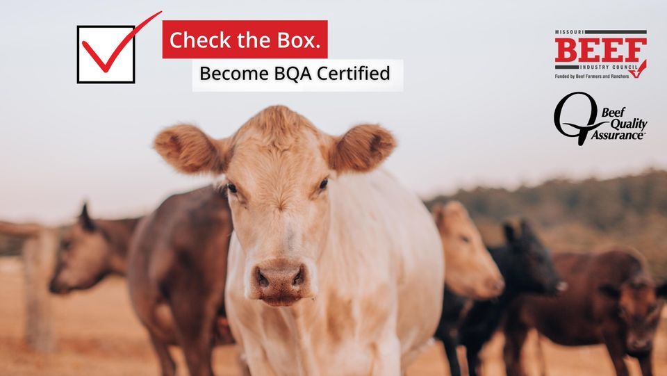 Dallas County Cattlemens BQA Training , 12 WINDING CREEK DR, BUFFALO, MO 65622, January 9 2024 ...