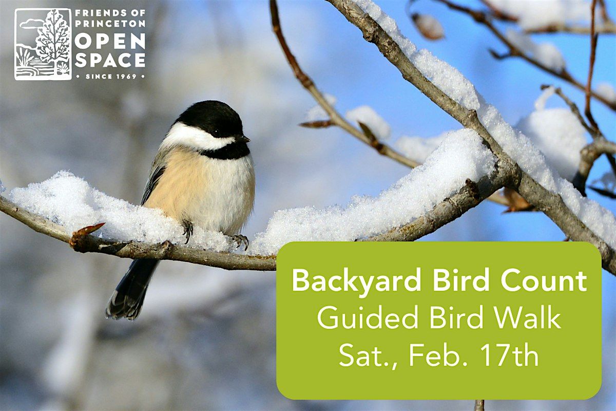 Backyard Bird Count: Guided Bird Walk with Winnie Huges Spar, Mountain ...