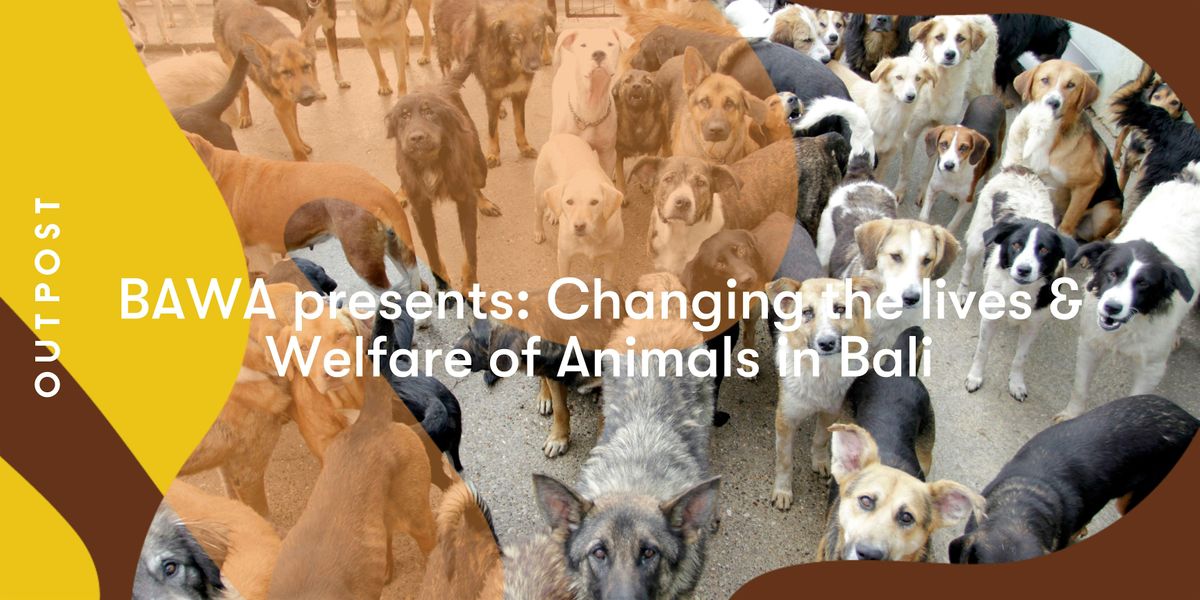 BAWA presents: Changing the lives & Welfare of Animals in Bali, Outpost ...