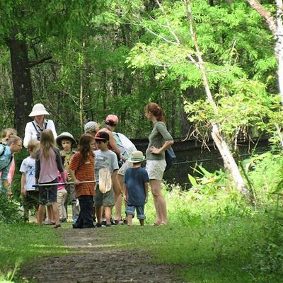Guided Family Walk: CREW Marsh Trails (Yellow/Red), CREW Marsh Trails ...