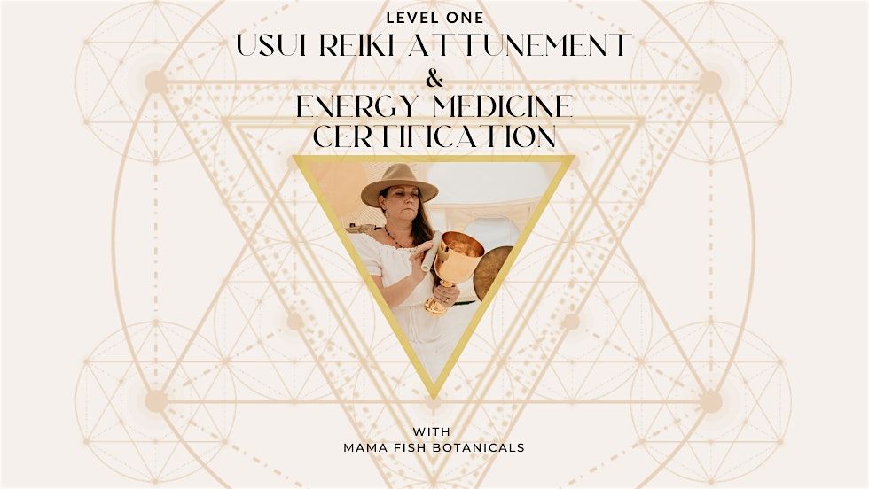 Usui Reiki Attunement & Energy Medicine Level One Certification, A ...