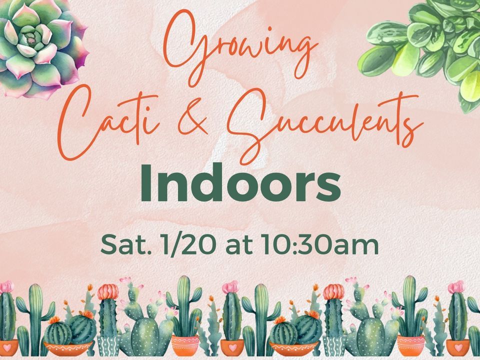Seminar on Growing Cacti & Succulents Indoors, The Gardener's Center ... Seminar on Growing Cacti & Succulents Indoors, The Gardener's Center ...