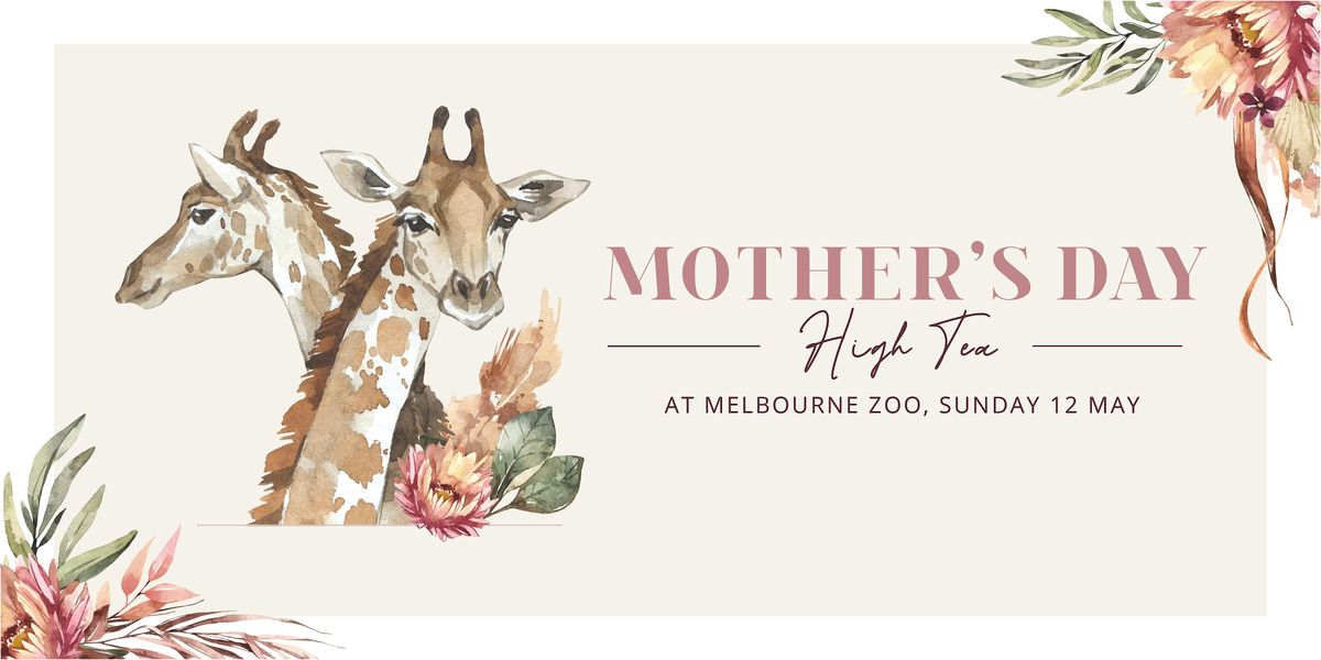 Mothers Day High Tea at Melbourne Zoo (Afternoon), Leopard Lodge ...