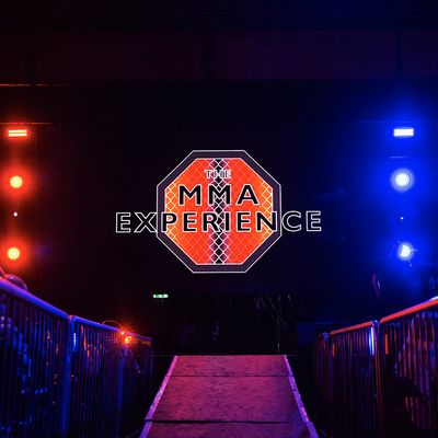 The MMA Experience: Fight Night #13, The Hangar, Wolverhampton, 13 July ...