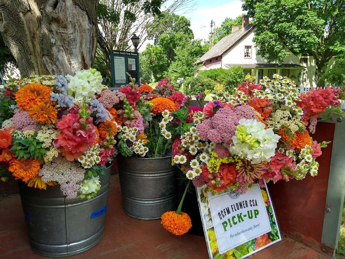 Queens Farm Flower CSA, Queens County Farm Museum, Floral Park, 7 June ...
