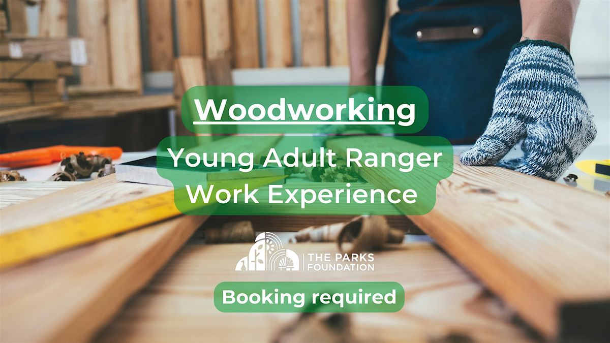 Woodworking - Young Adult Ranger Work Experience at Winton Rec, Winton ...