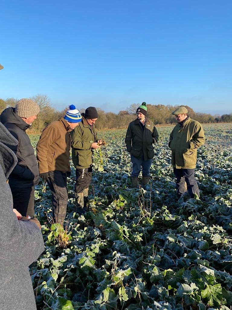 Cover Cropping for Climate Neutral Farming – Tour with Toby Simpson ...