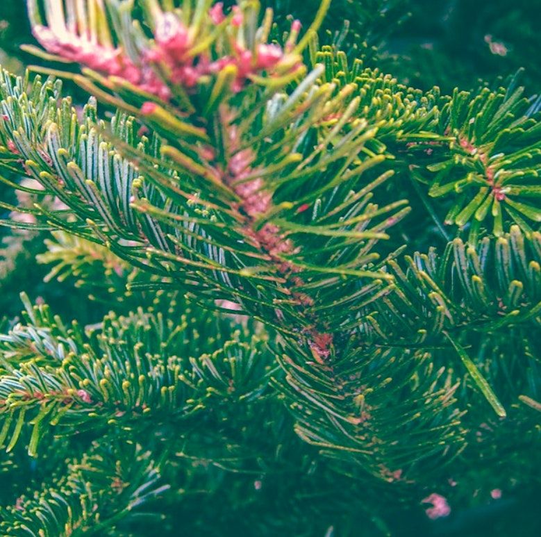Yuletide Celebration, 2 January 2023 | AllEvents.in