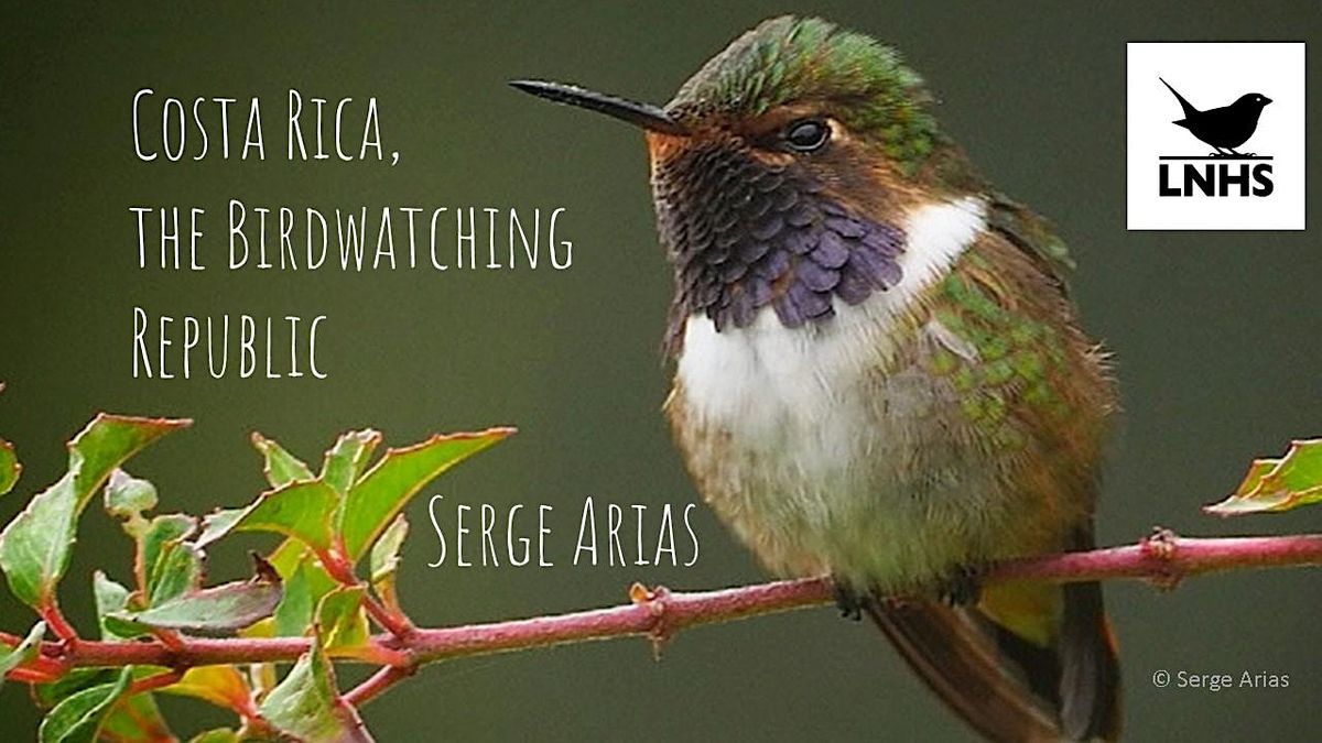 Costa Rica, the Birdwatching Republic Serge Arias & London Bird Club ...