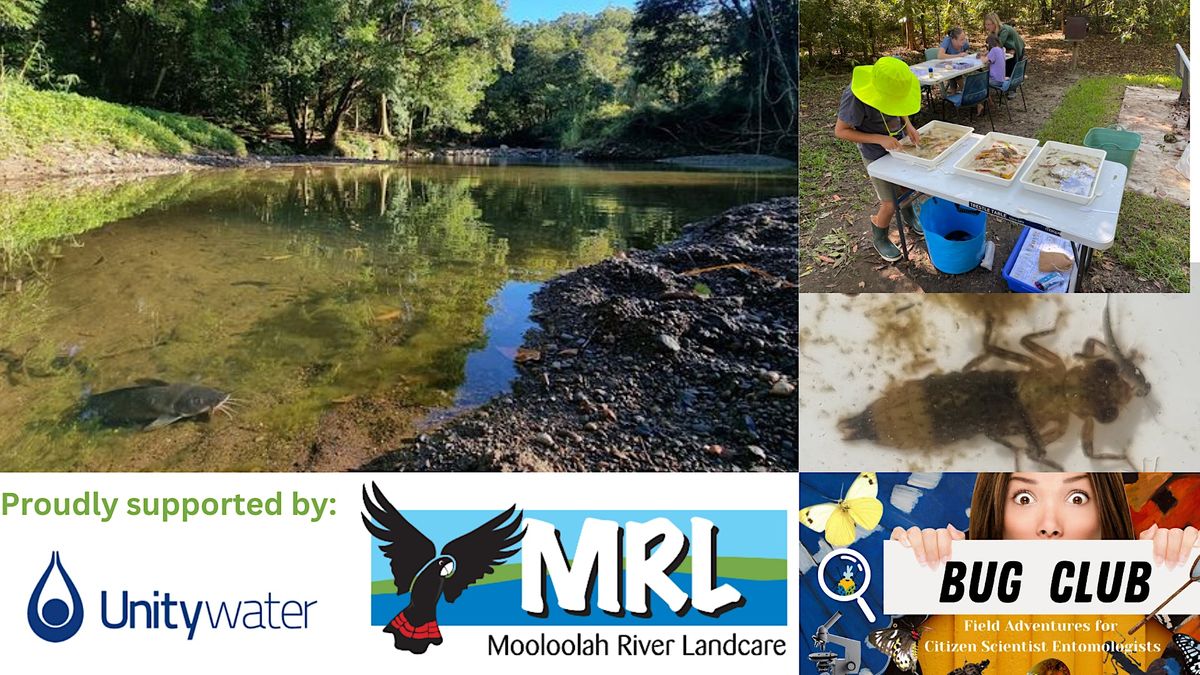 Community Macroinvertebrate Study -Bug Club, Mooloolah River Landcare ...