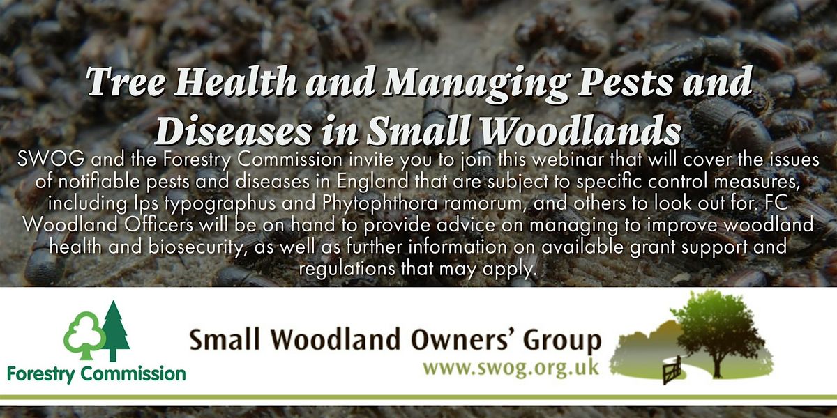 An Introduction to Tree Pests and Diseases, July 2 2024 | Online Event ...