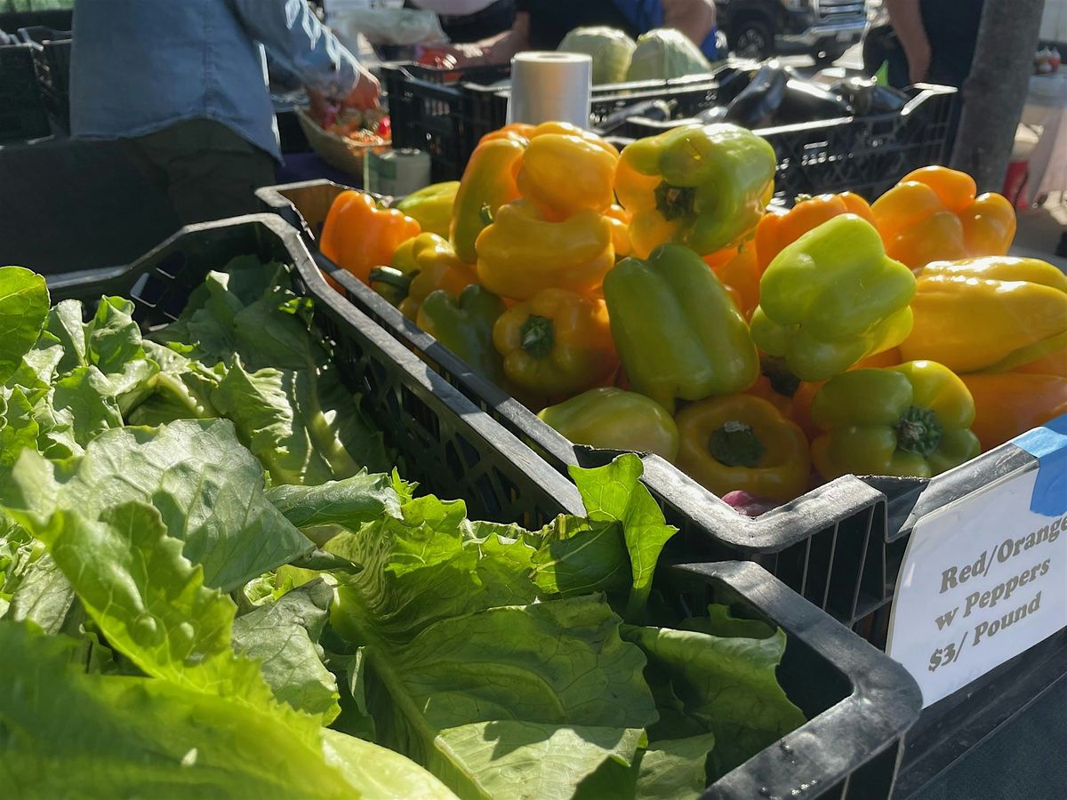 East Boston Spring Farmers Market, 20 Maverick Square, Boston, 20 June ...