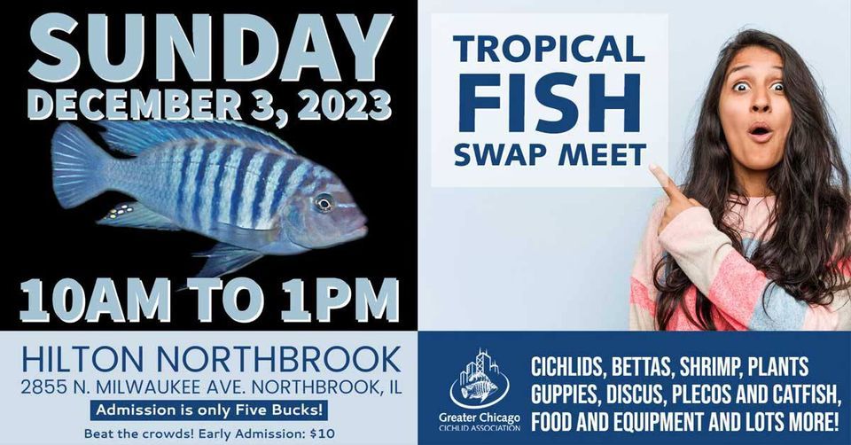 GCCA Tropical Fish Swap Meet (100 tables of aquarium fish), Hilton ...