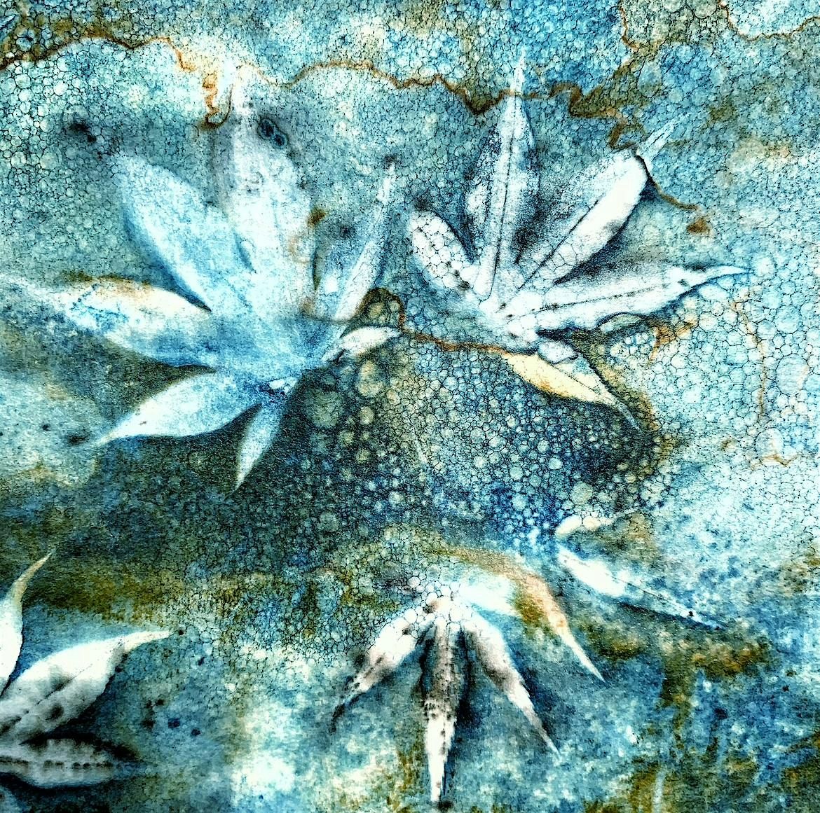 Alternative Photography workshop: Cyanotypes, The Garden Room, Blagdon ...