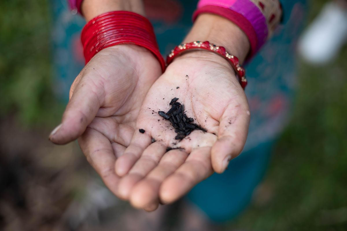 Regenerative & nature-positive agriculture to build climate resilient ...