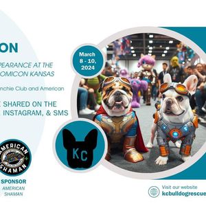 KCEBR at Planet ComiCon KC, Bartle Hall Convention Center, Kansas City ...