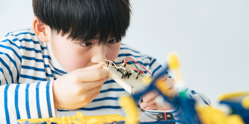 Creature Coding - Summer School Holidays, Temple Newsam Estate, Leeds ... Creature Coding - Summer School Holidays, Temple Newsam Estate, Leeds ...