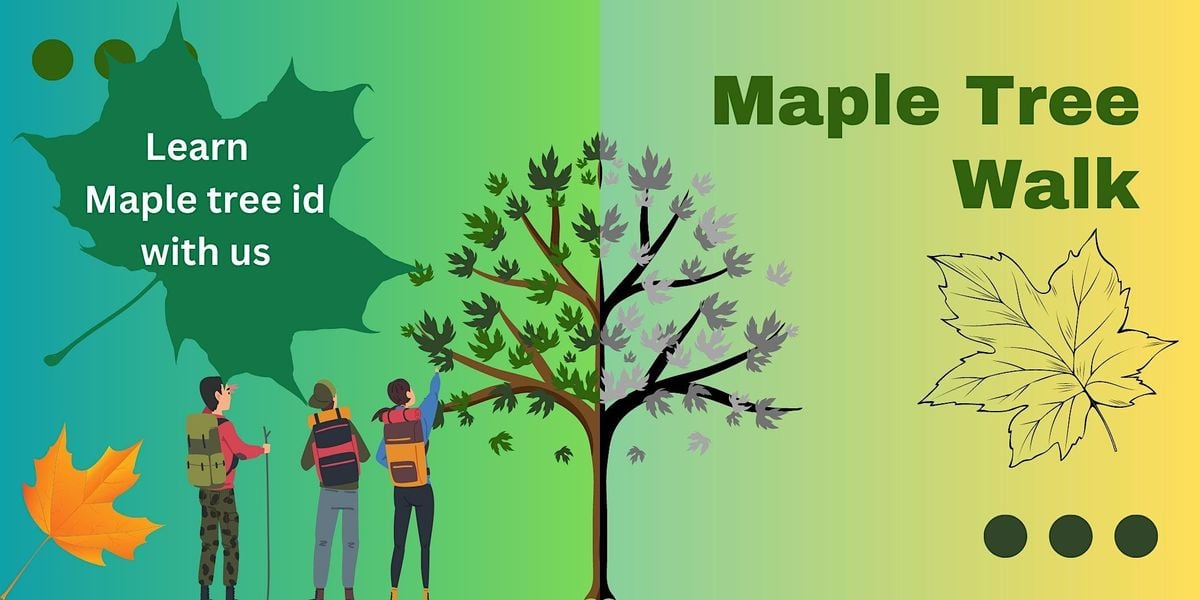 Maple Tree Walk, Marie Curtis Park, Toronto, 29 August 2023 | AllEvents.in