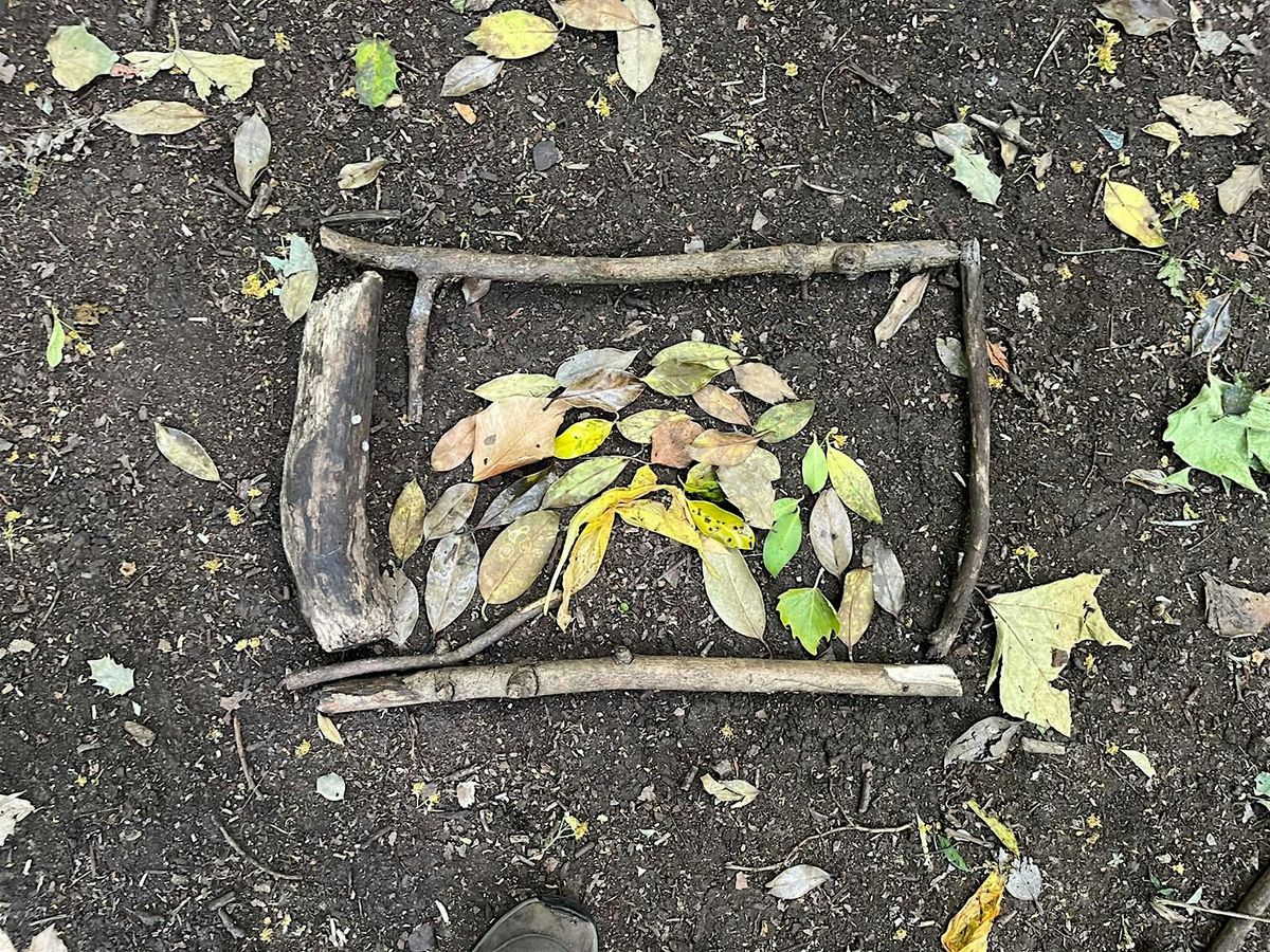 Forest Tots - a morning of outdoor activities for pre-school children ...