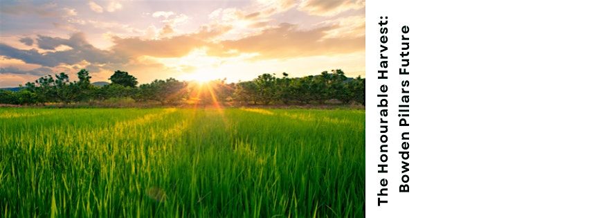 Exploring a Deeper Connection to the Land - Bowden Pillars Future ...