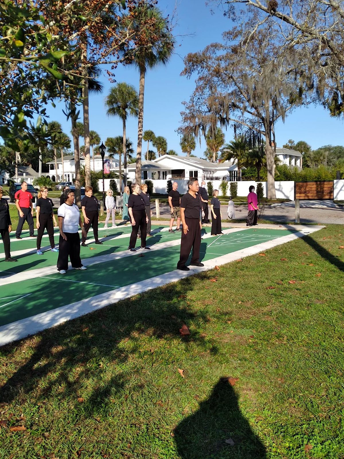 Qigong & Tai Chi at Spring Park - Every 3rd Saturday, Spring Street ...