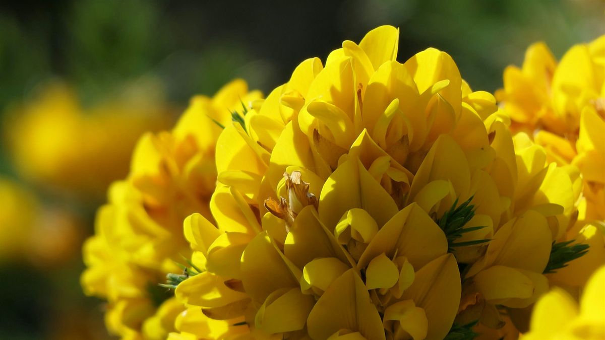 April Come and Sing Your Heart Out, at Macha Yoga, Bray, Macha Yoga ...