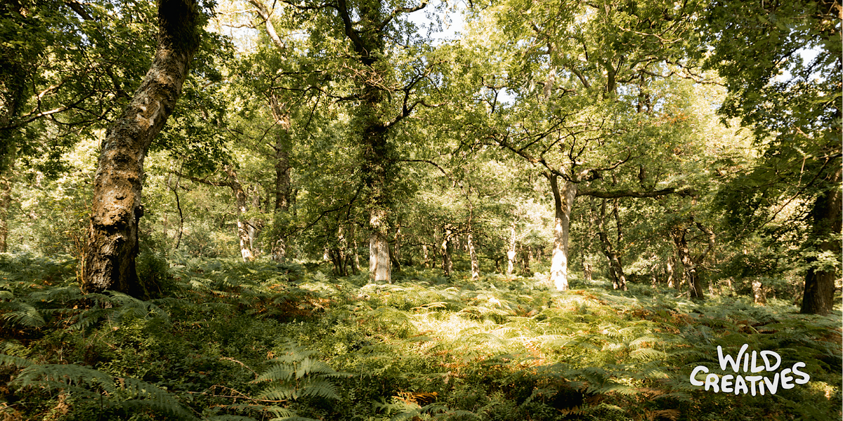 An Introduction to Nature Journaling, Raincliffe Woods, Scarborough, 19 ...