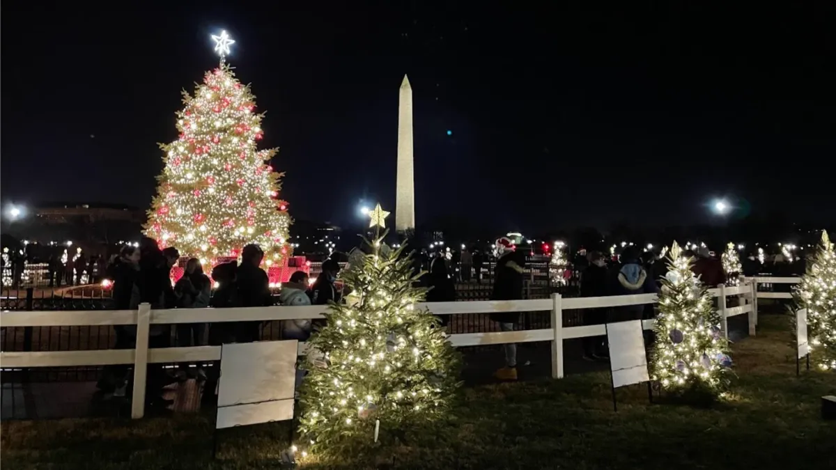 DC Vegan & Holiday Lights with VSDC Vegan Trekkers, DC Vegan ...