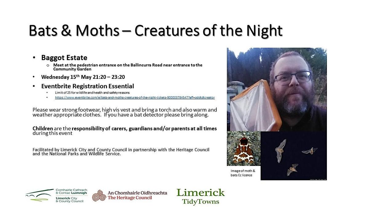 Bats and Moths - Creatures of the Night, Baggot Estate Nature Park ...