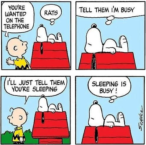 MRHS Presents: Snoopy! The Musical, 70 Church St, Haledon, 7 March 2024 ...